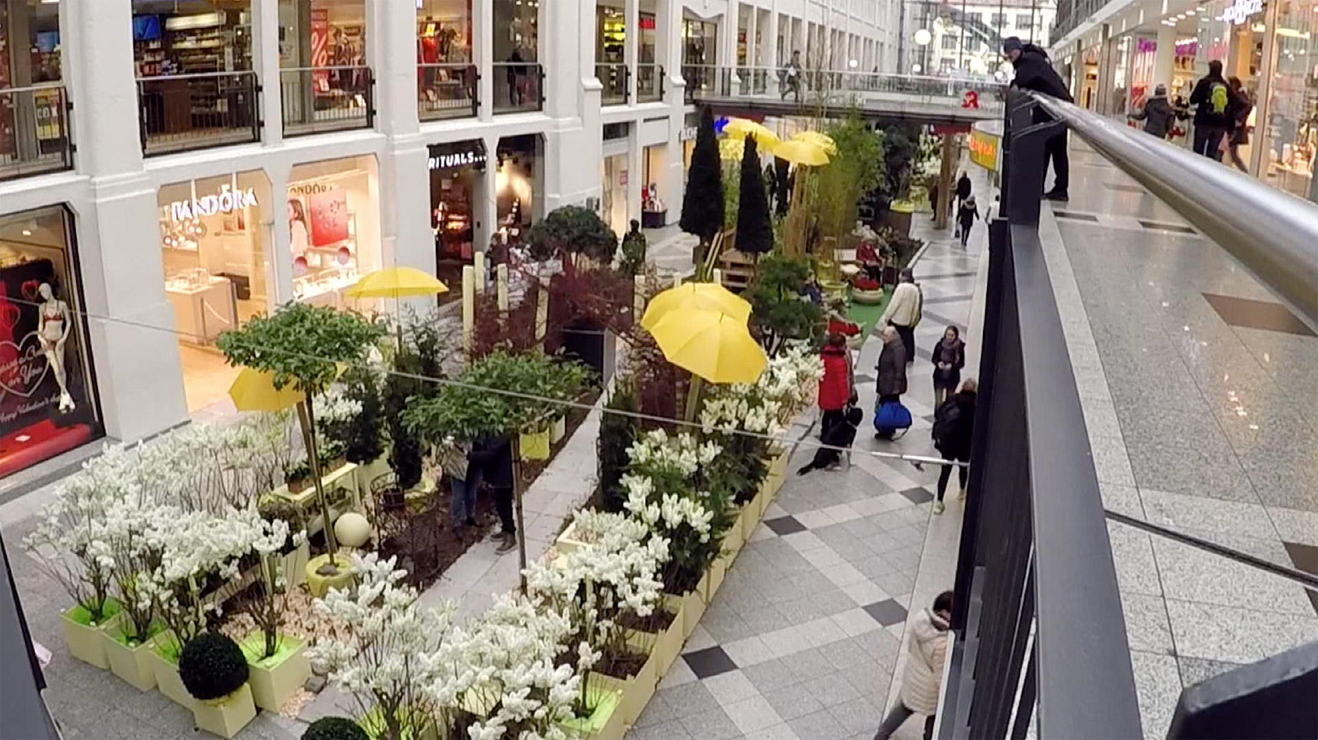 Center · Goethe Galerie Jena